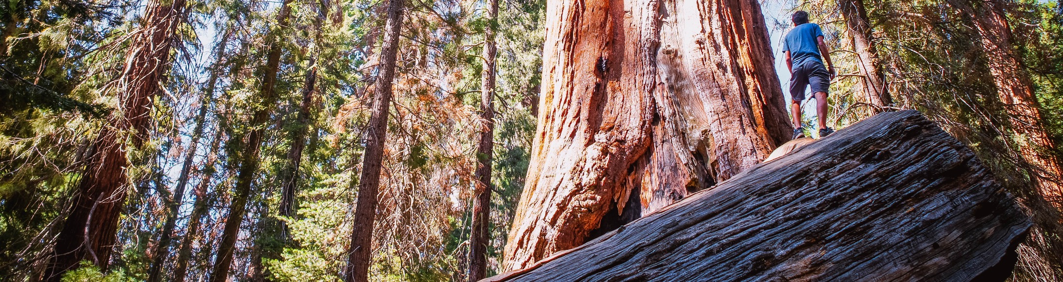 Discover The Best California State & National Parks