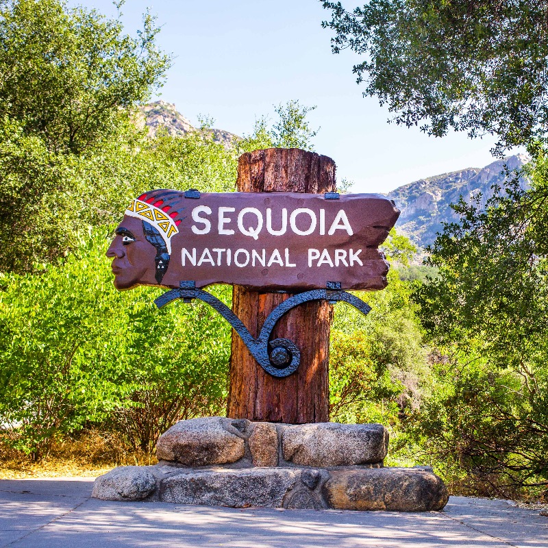 Local Stories & Tips For Your Next Visalia & Sequoia Park Vacation