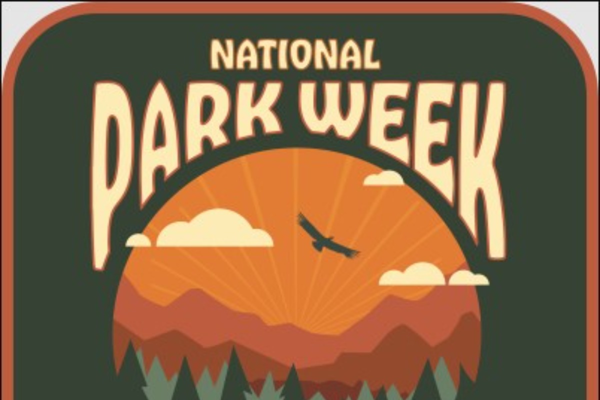 Visit Visalia Welcomes You To Sequoia & Kings Canyon National Parks