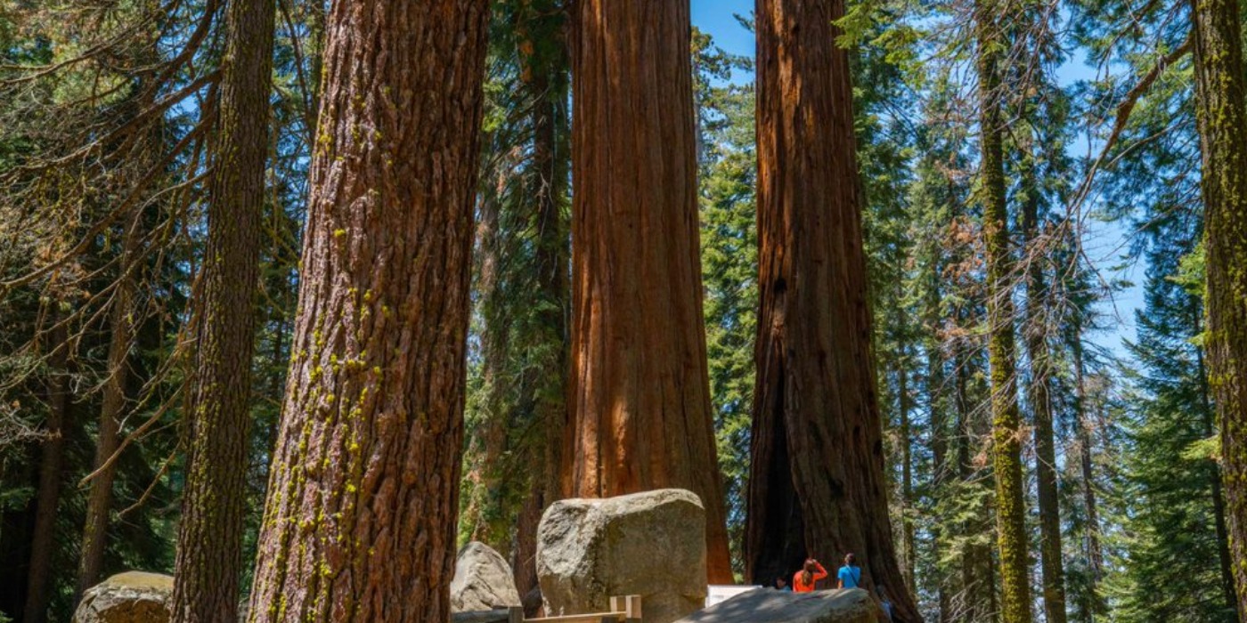 Get Your Free Visit Visalia Visitor Guide & Travel Planner